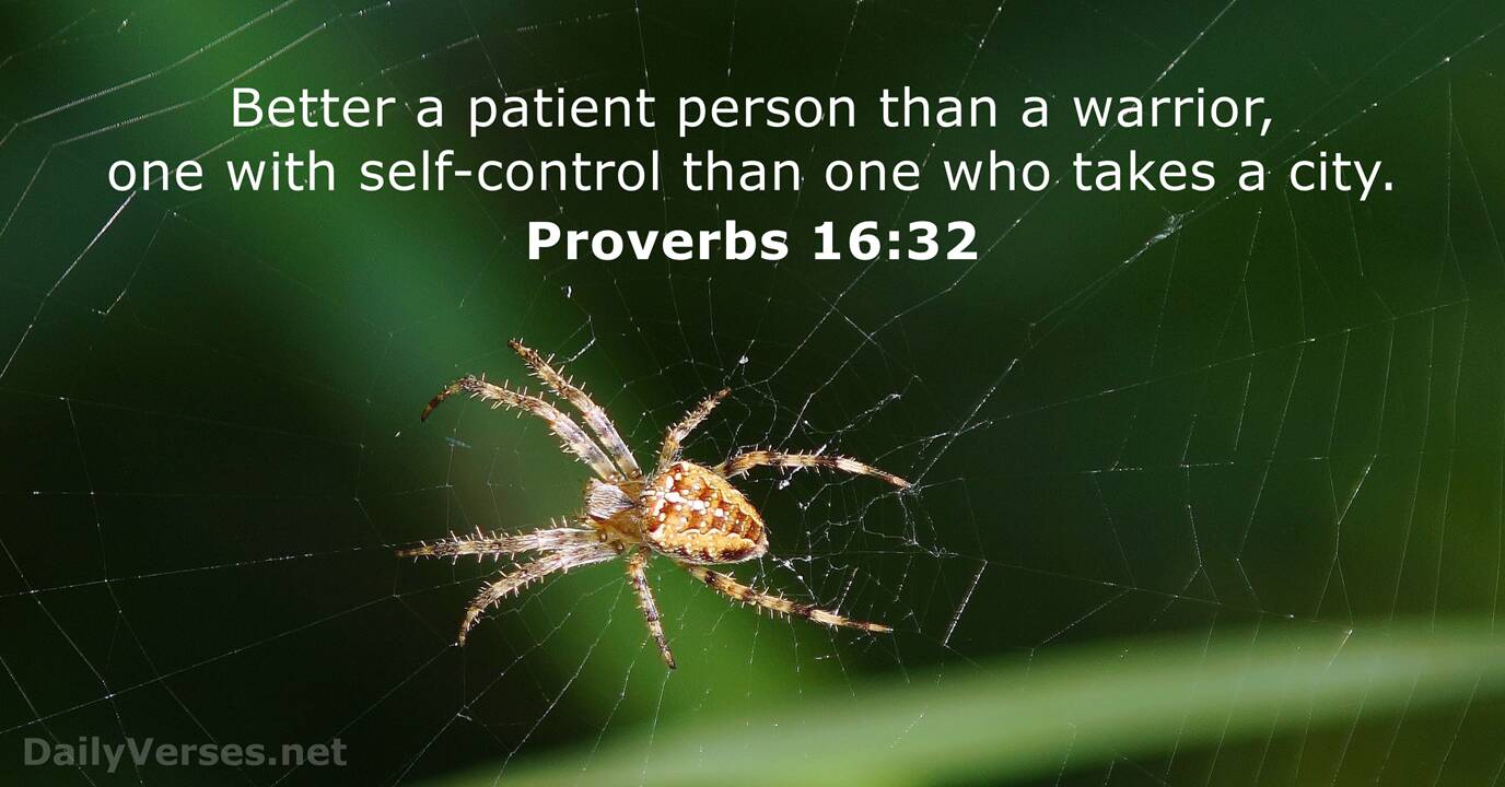 Proverbs 16 32 Bible Verse DailyVerses Proverbs 16 32 Bible Verse DailyVerses