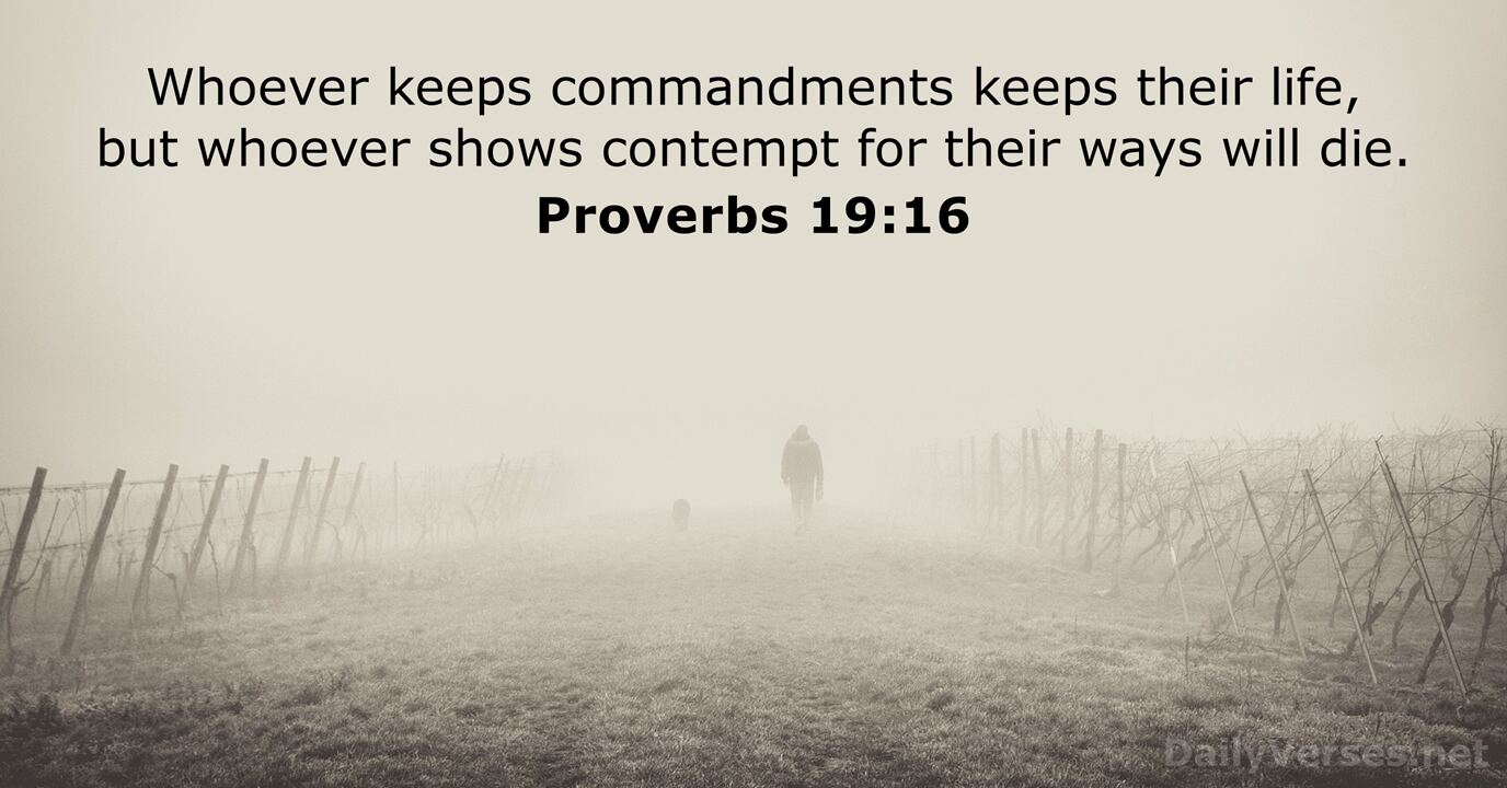 Proverbs 19 16 Bible Verse DailyVerses Proverbs 19 16 Bible Verse DailyVerses