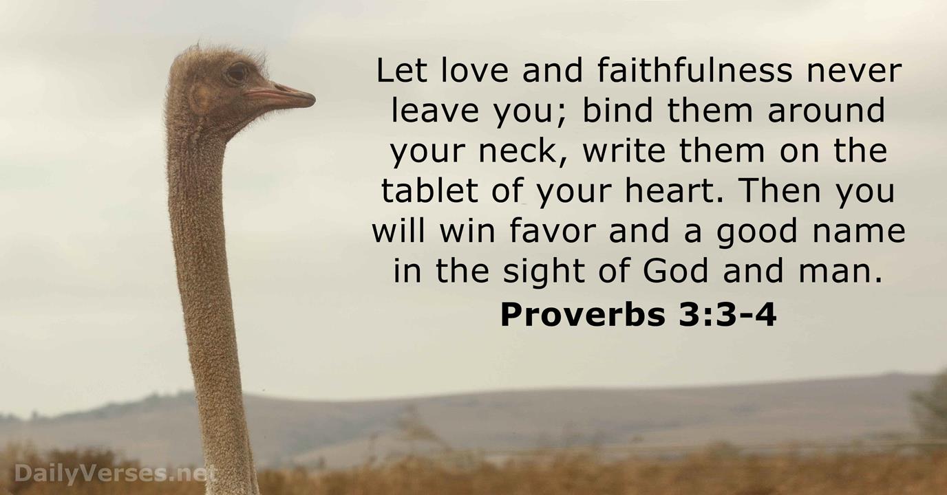 Proverbs 3 3 4 Bible Verse DailyVerses