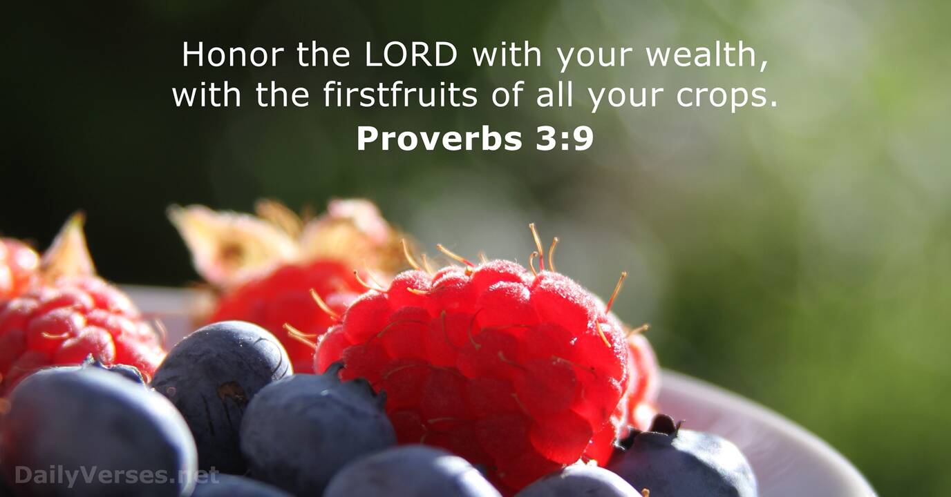 Proverbs 3 9 Bible Verse DailyVerses