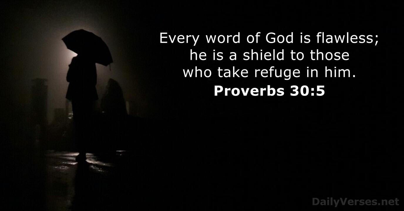 Proverbs 30 5 Bible Verse DailyVerses Proverbs 30 5 Bible Verse DailyVerses