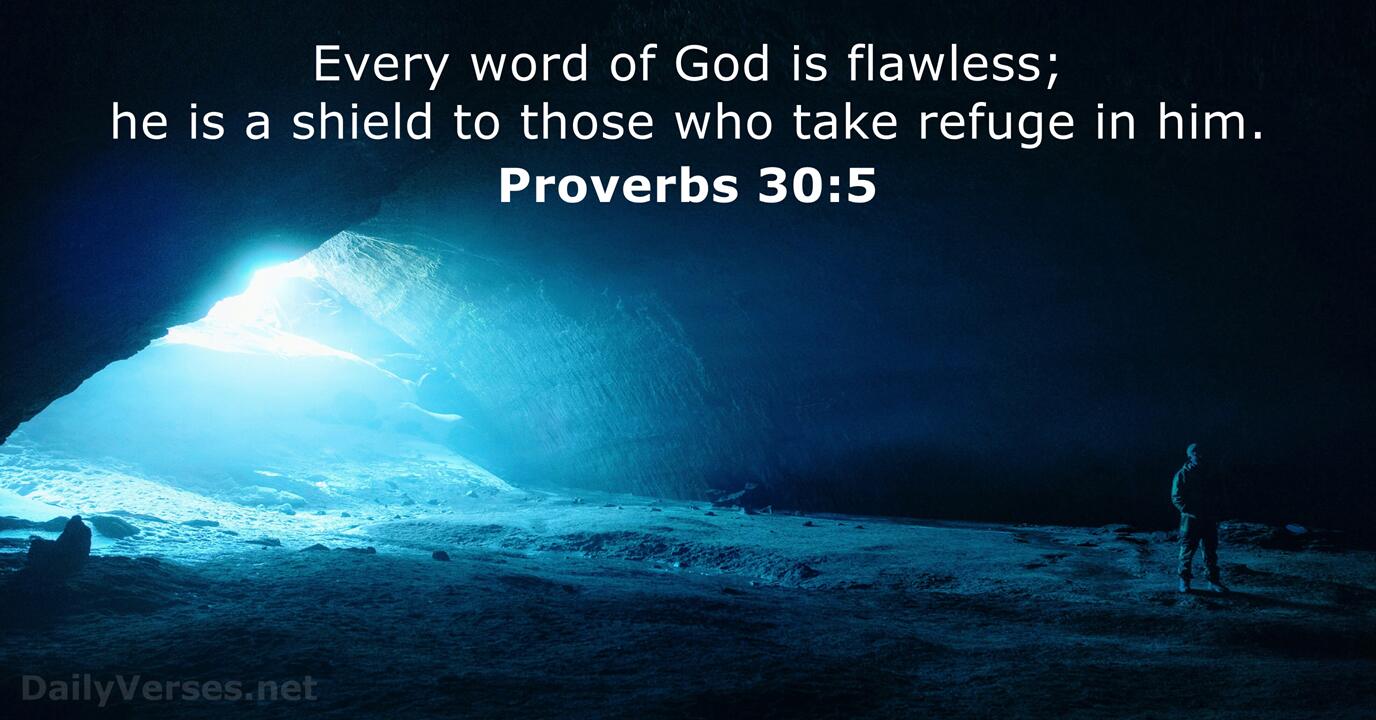 Proverbs 30 5 Bible Verse DailyVerses Proverbs 30 5 Bible Verse DailyVerses