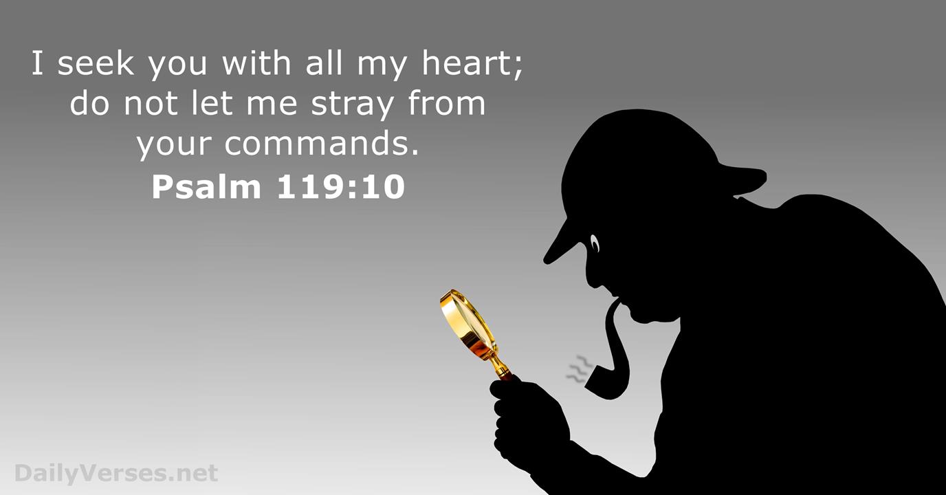 Psalm 119 10 Bible Verse DailyVerses