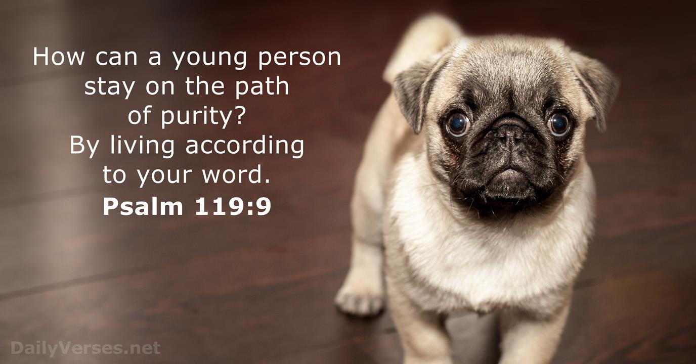Psalm 119 9 Bible Verse DailyVerses