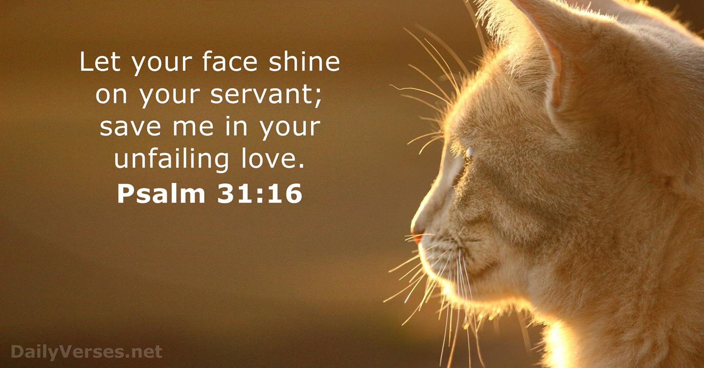 Psalm 31 16 Bible Verse DailyVerses