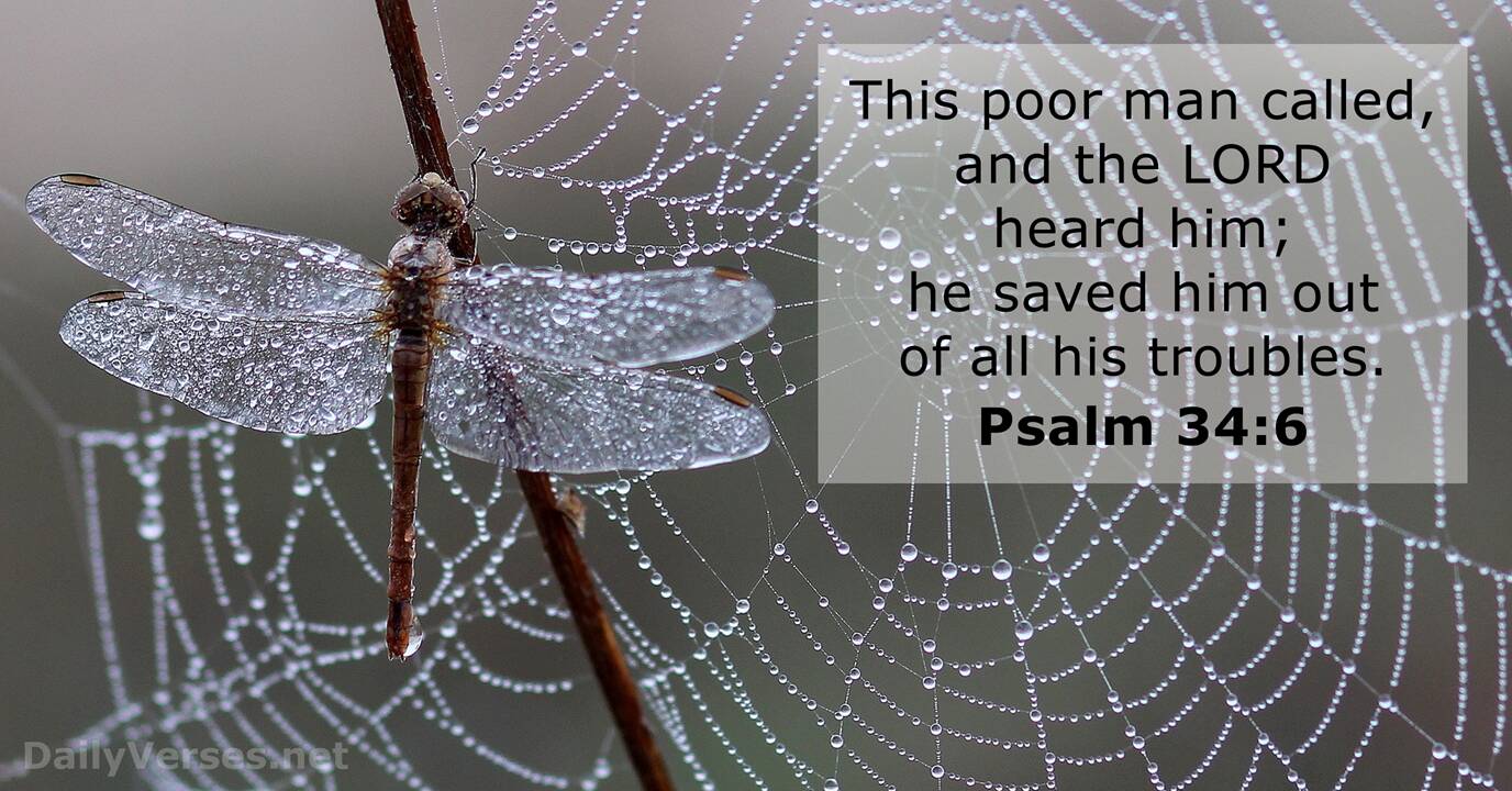 Psalm 34 6 Bible Verse DailyVerses