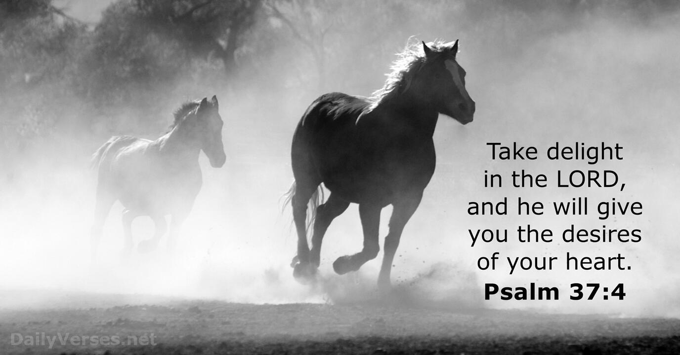 October 13 2017 Bible Verse Of The Day Psalm 37 4 DailyVerses