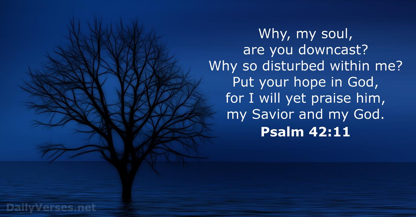 Psalm 42 11 Bible Verse DailyVerses