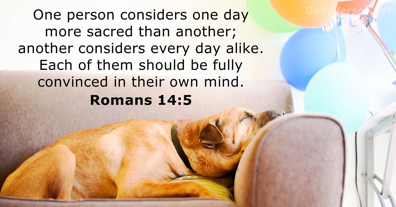 Romans 14 5 Bible Verse DailyVerses Romans 14 5 Bible Verse DailyVerses
