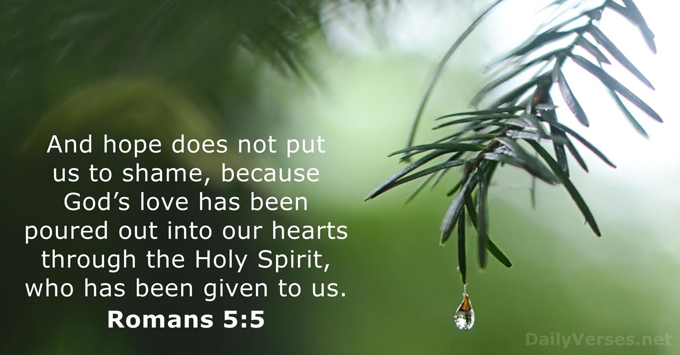 Romans 5 5 Bible Verse DailyVerses Romans 5 5 Bible Verse DailyVerses