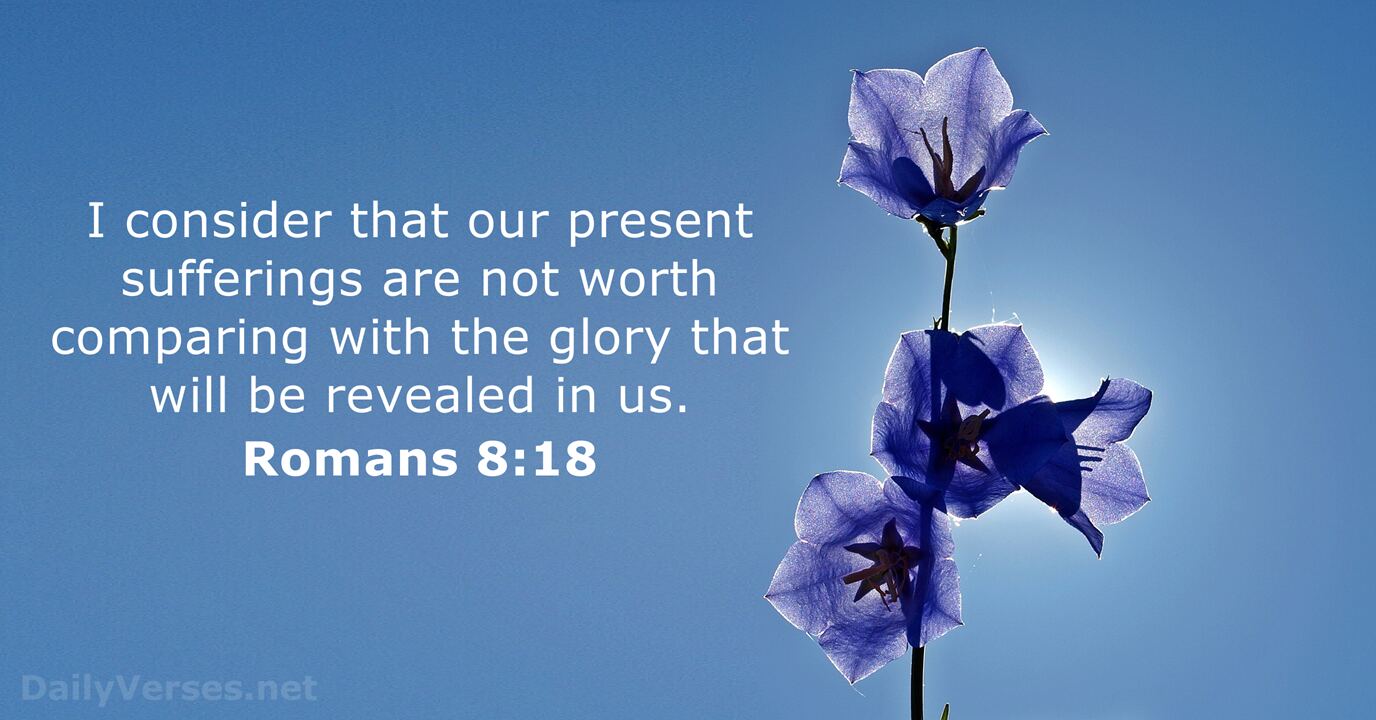 Romans 8 18 Bible Verse DailyVerses