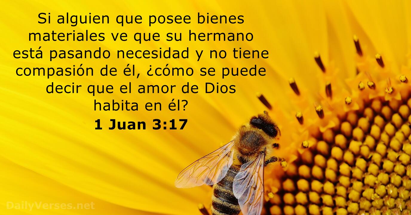 1 Juan 3 17 RVR60 Vers culo De La Biblia Del D a DailyVerses