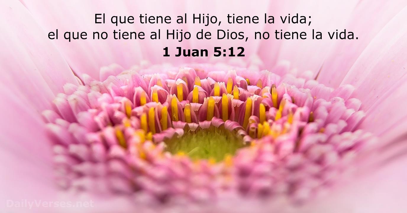 1 Juan 5 12 Vers culo De La Biblia DailyVerses