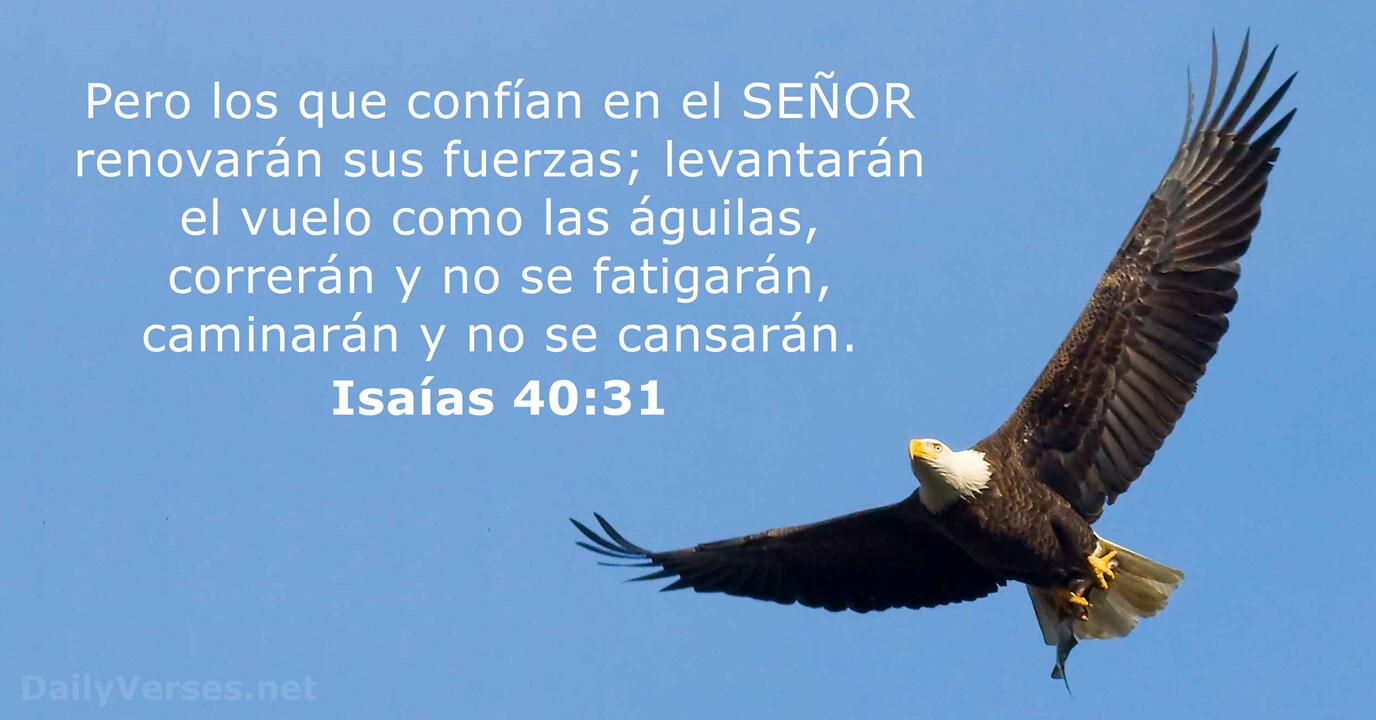 Isa as LBLA NVI DailyVerses