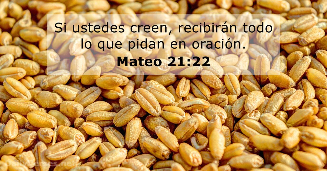 Mateo 21 22 Vers culo De La Biblia DailyVerses Mateo 21 22 Vers culo De La Biblia DailyVerses