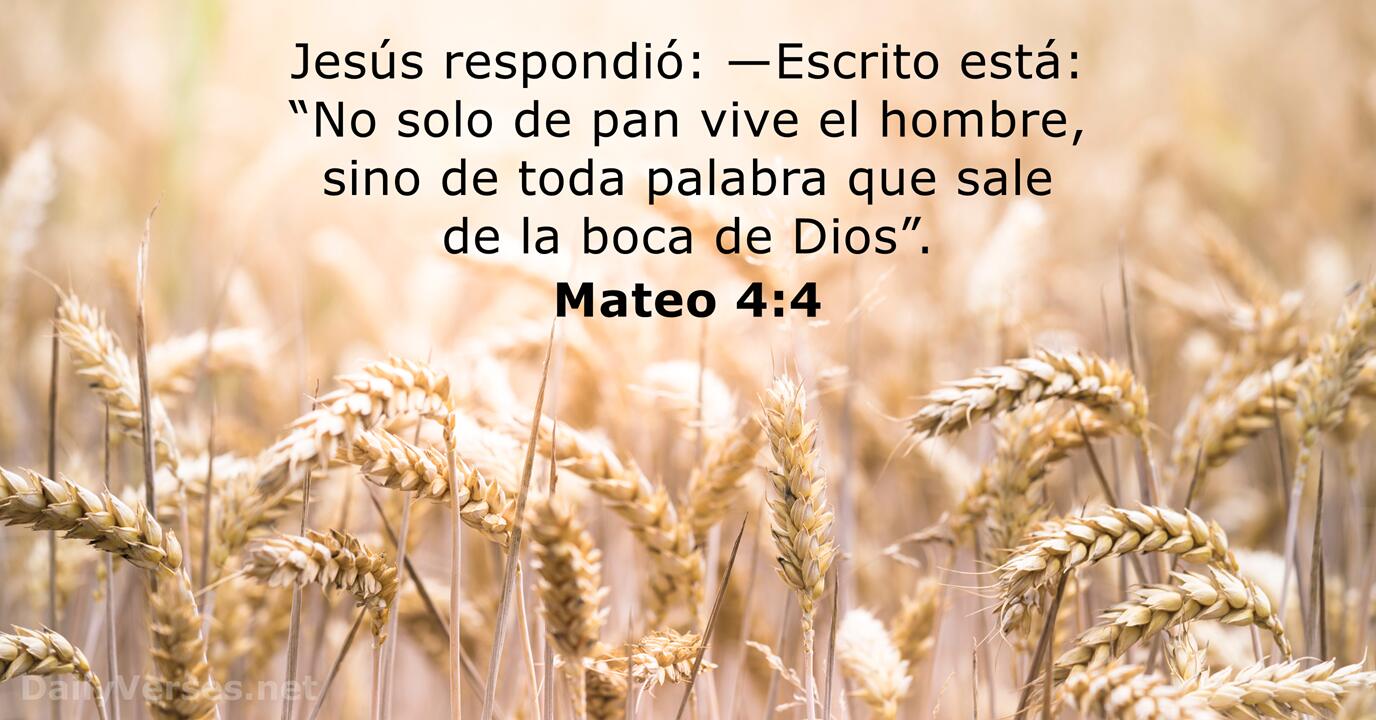 5 De Mayo De 2022 Vers culo De La Biblia Del D a Mateo 4 4 5 De Mayo De 2022 Vers culo De La Biblia Del D a Mateo 4 4