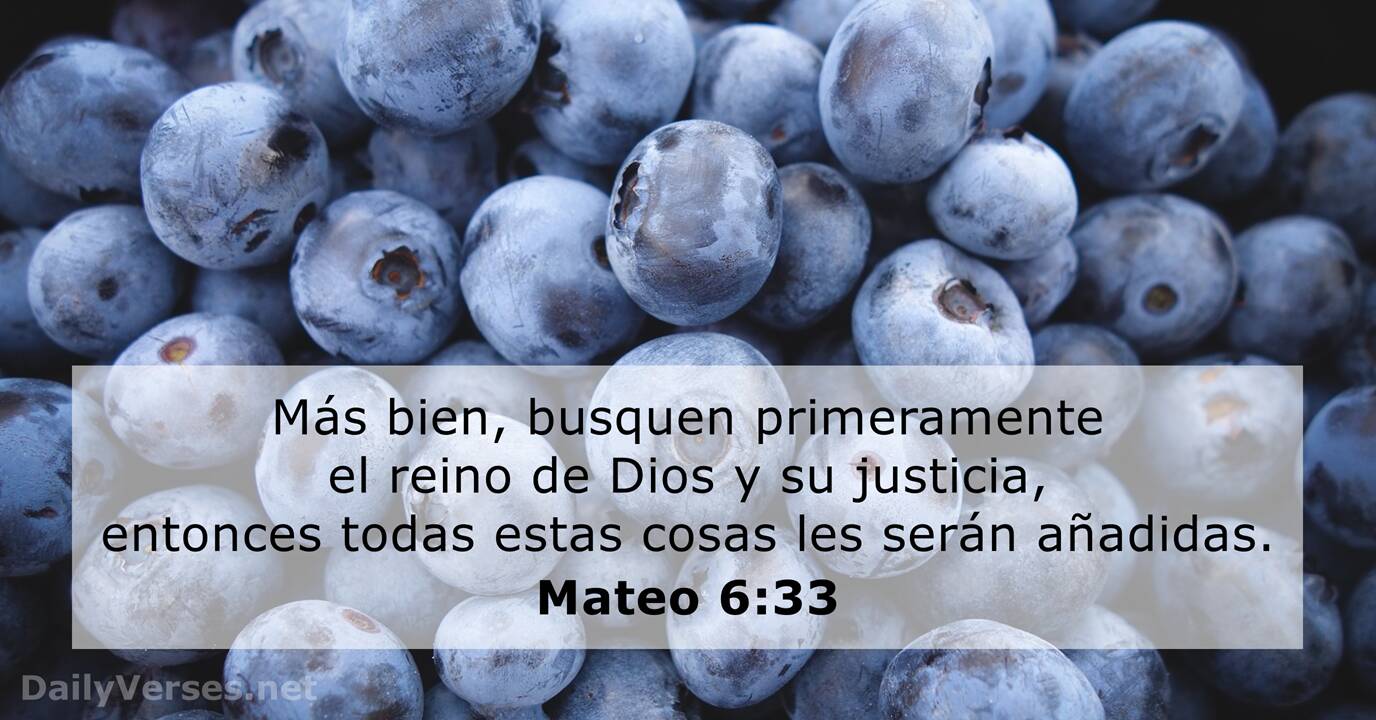 Mateo 6 33 RVR60 Vers culo De La Biblia Del D a DailyVerses Mateo 6 33 RVR60 Vers culo De La Biblia Del D a DailyVerses