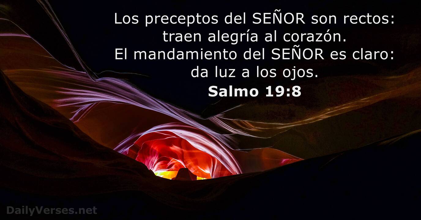 9 Vers culos De La Biblia Sobre Rectos NVI RVR60 DailyVerses
