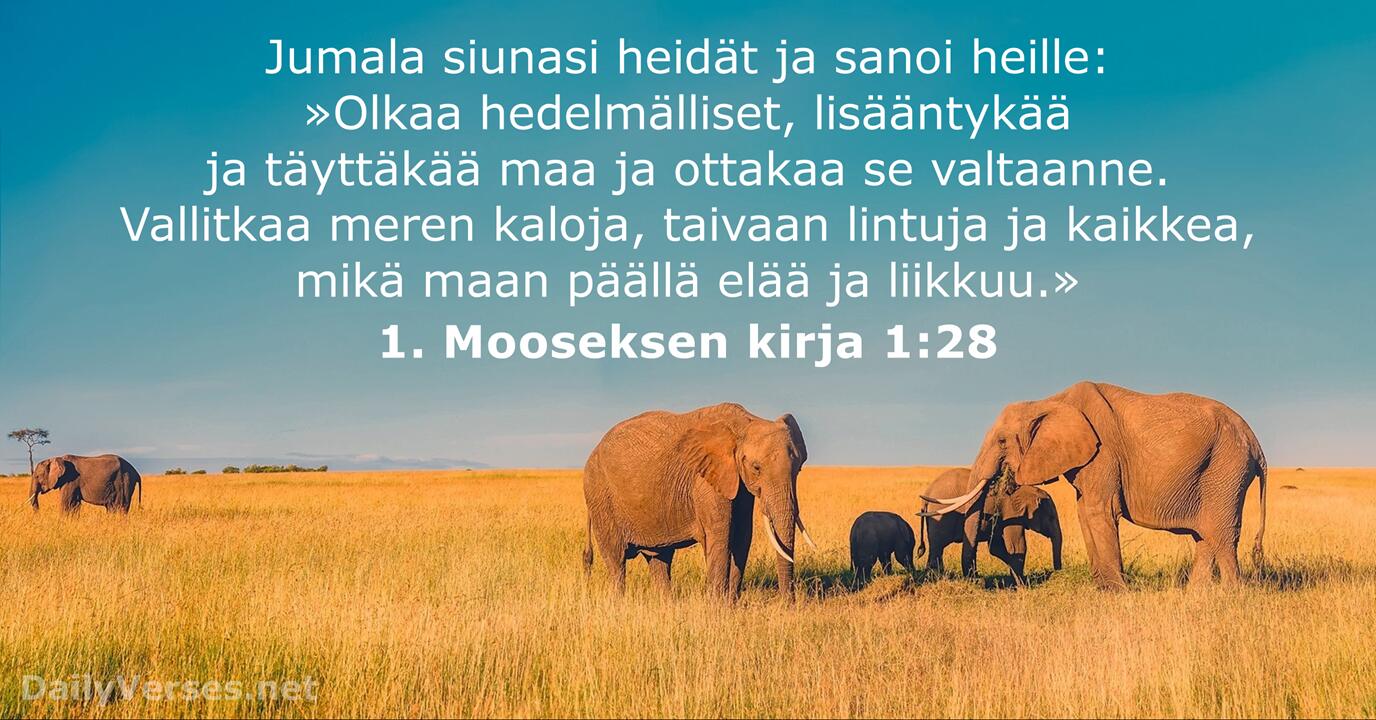 1 Mooseksen Kirja 1 28 Raamatun Jae DailyVerses 1 Mooseksen Kirja 1 28 Raamatun Jae DailyVerses