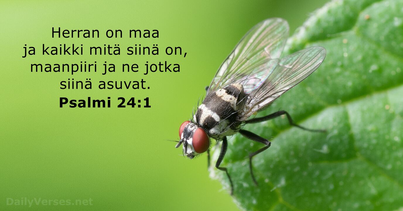 11 Toukokuuta 2020 P iv n Raamatun Jae Psalmi 24 1 DailyVerses 11 Toukokuuta 2020 P iv n Raamatun Jae Psalmi 24 1 DailyVerses