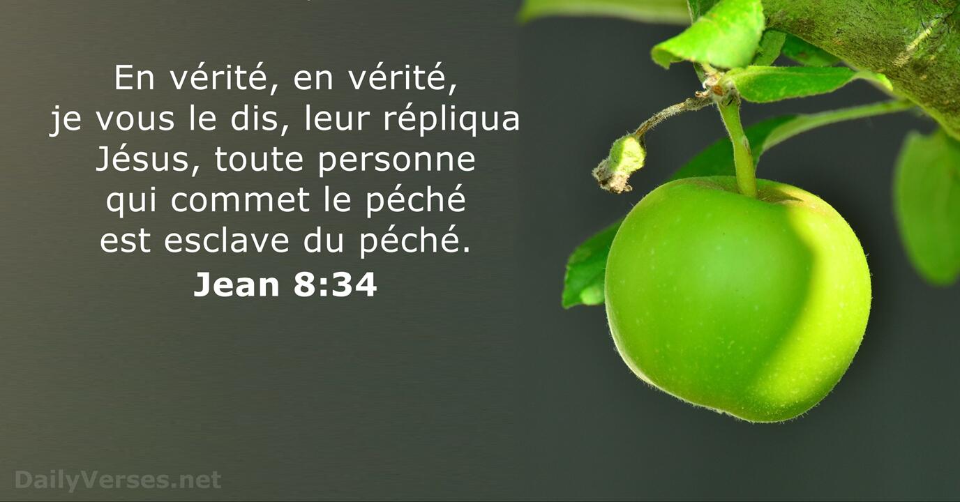 Jean 8 34 Verset De La Bible DailyVerses Jean 8 34 Verset De La Bible DailyVerses