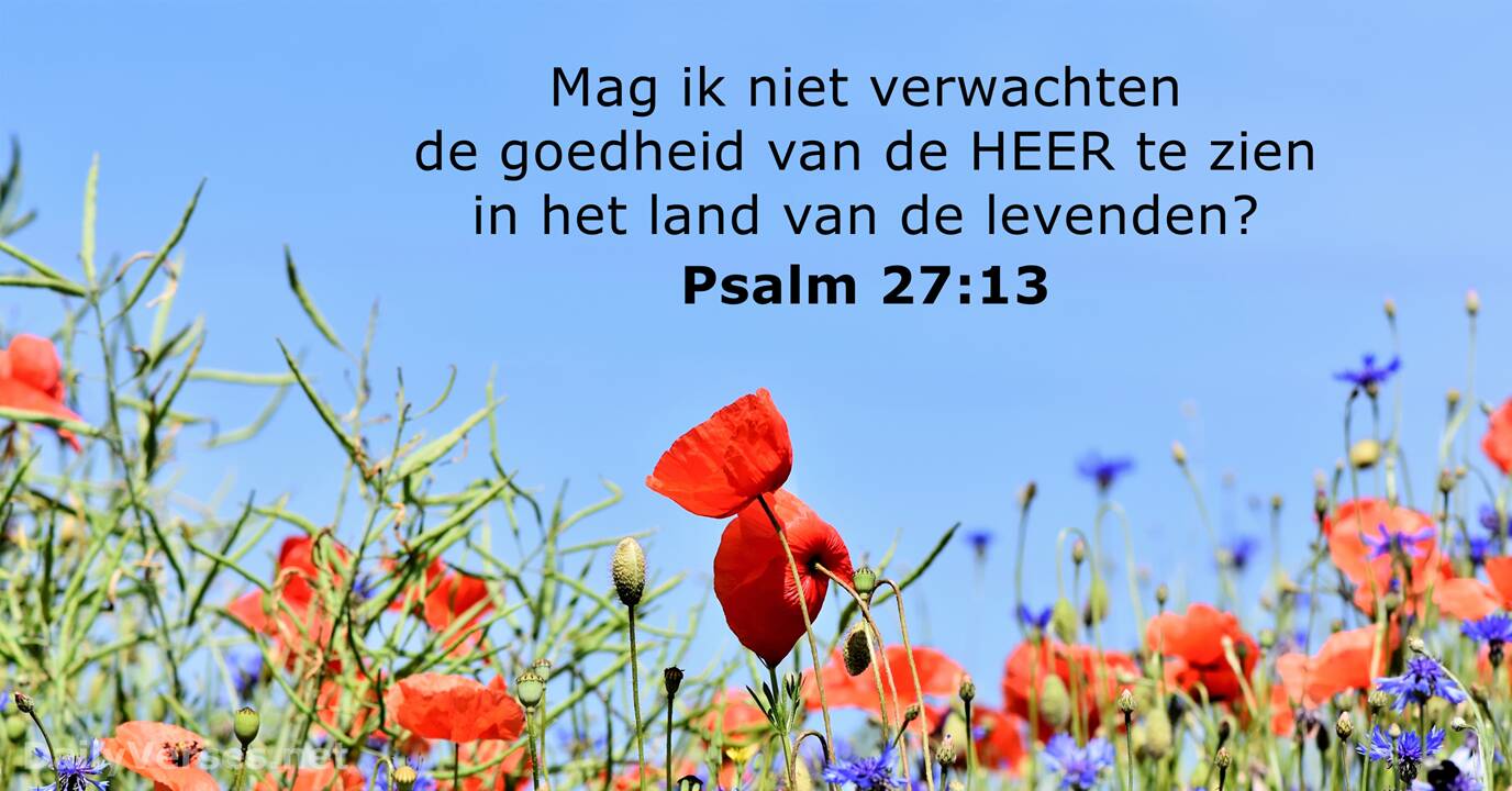 Psalm 27 13 Bijbeltekst DailyVerses