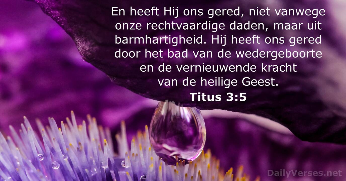 5 Juni 2019 Bijbeltekst Van De Dag Titus 3 5 DailyVerses