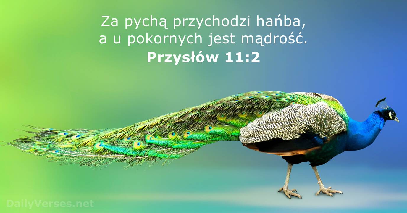 Przys w 11 2 Wers Biblii DailyVerses