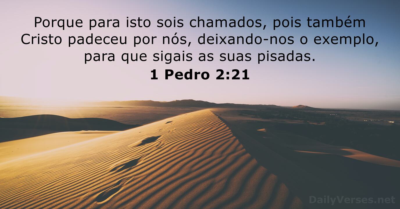 22 De Fevereiro De 2023 Vers culo Da B blia Do Dia 1 Pedro 2 21