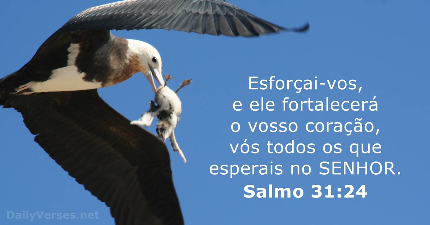 Salmo 31 24 Vers culo Da B blia DailyVerses