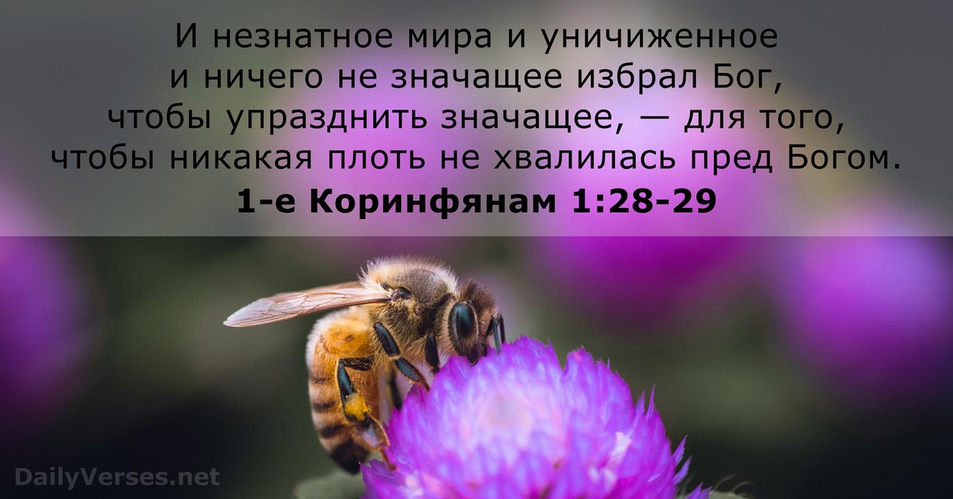 24 2021 1 1 28 29
