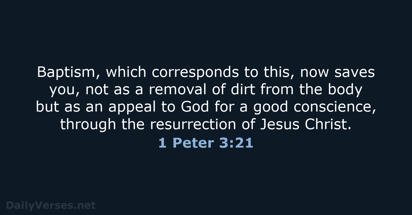 1 Peter 3 21 Bible Verse ESV DailyVerses