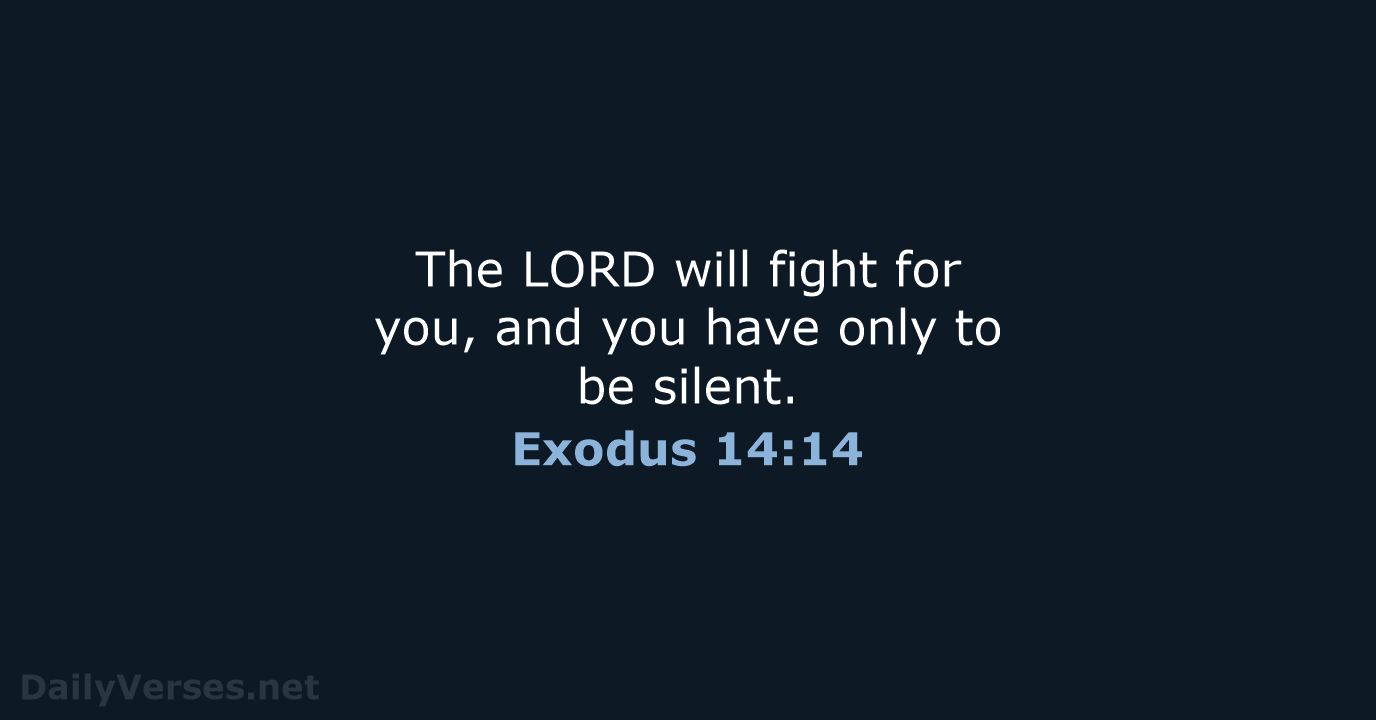 November 4 2022 Bible Verse Of The Day ESV Exodus 14 14 November 4 2022 Bible Verse Of The Day ESV Exodus 14 14