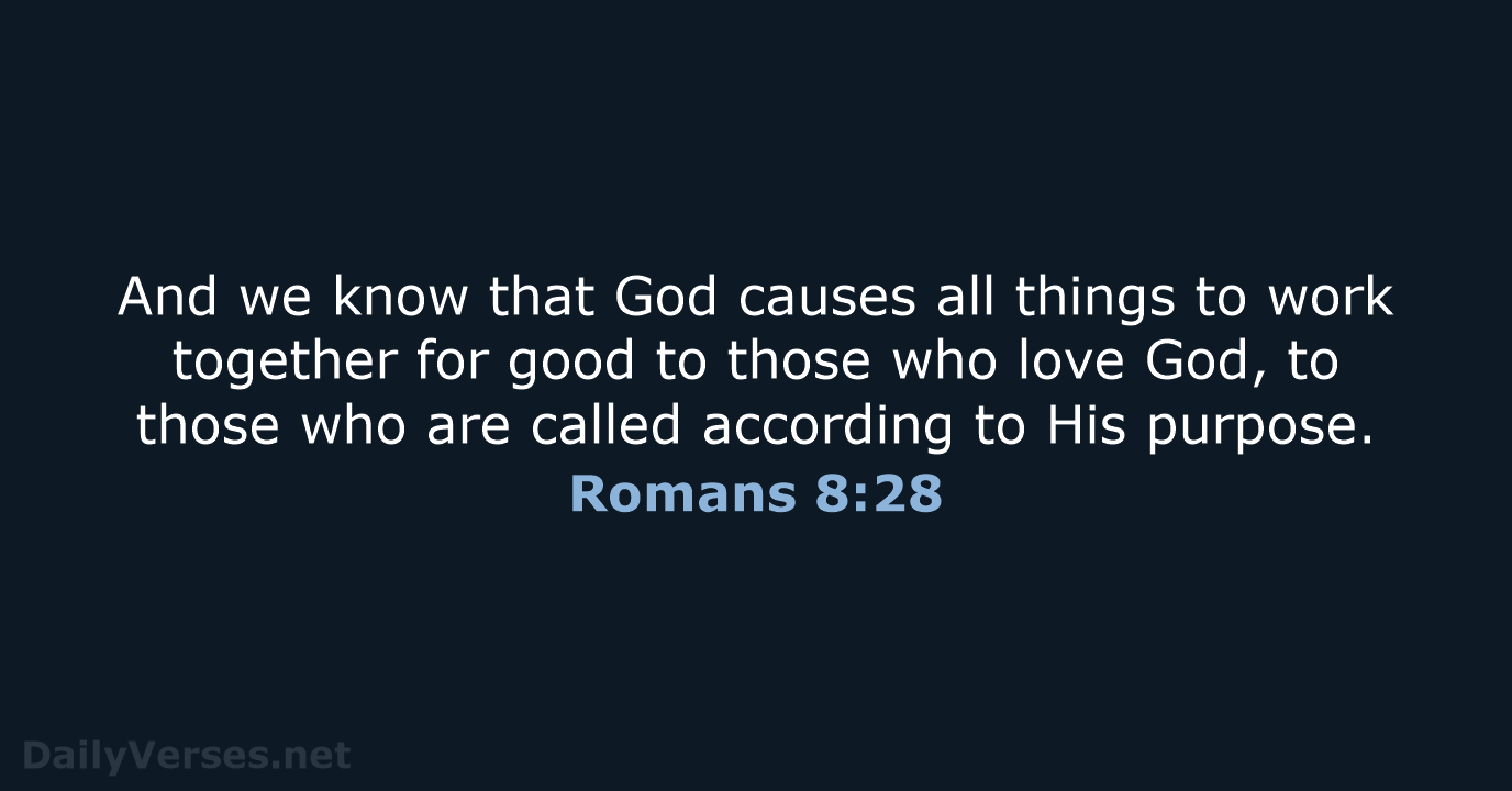 Romans 8 28 Bible Verse NASB DailyVerses Romans 8 28 Bible Verse NASB DailyVerses