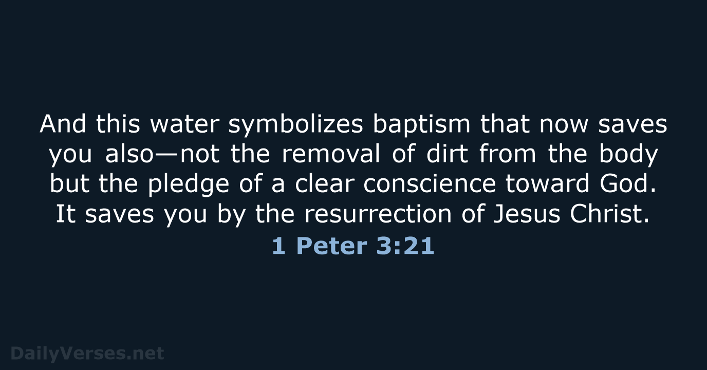 1 Peter 3 21 Bible Verse DailyVerses