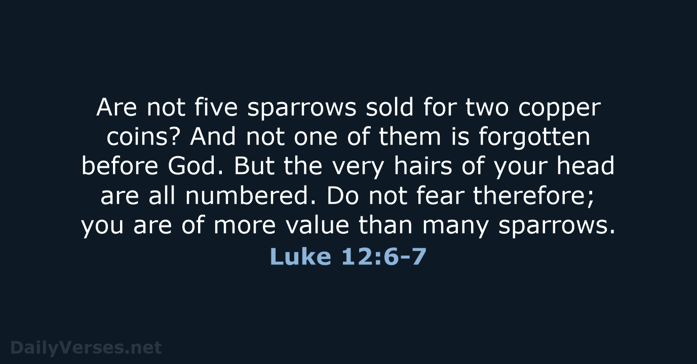 January 17 2023 Bible Verse Of The Day NKJV Luke 12 6 7