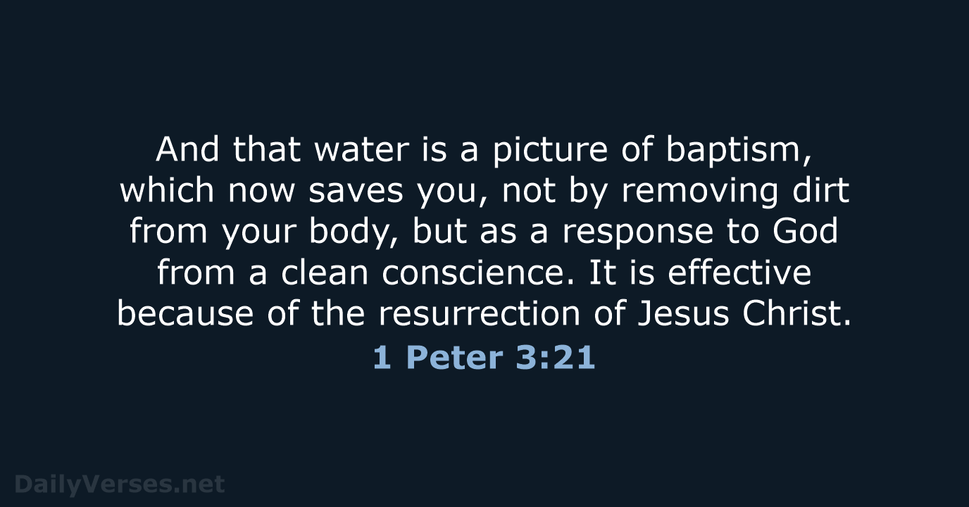1 Peter 3 21 Bible Verse NLT DailyVerses