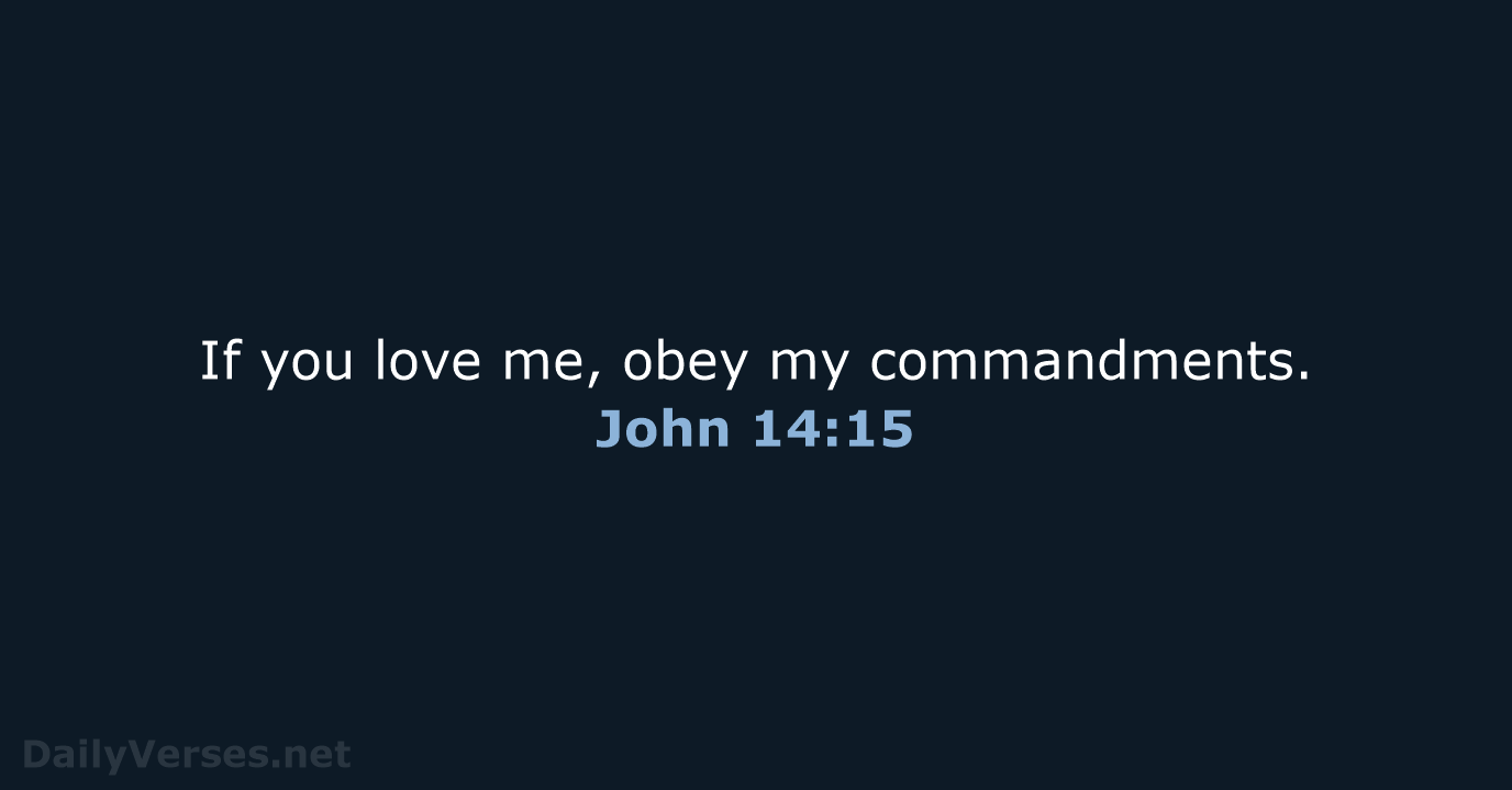John 14 15 Bible Verse NLT DailyVerses