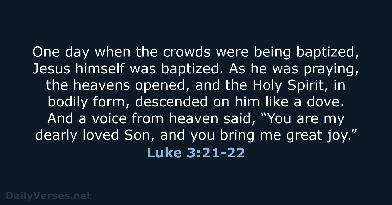 Luke 3 21 22 Bible Verse NLT DailyVerses
