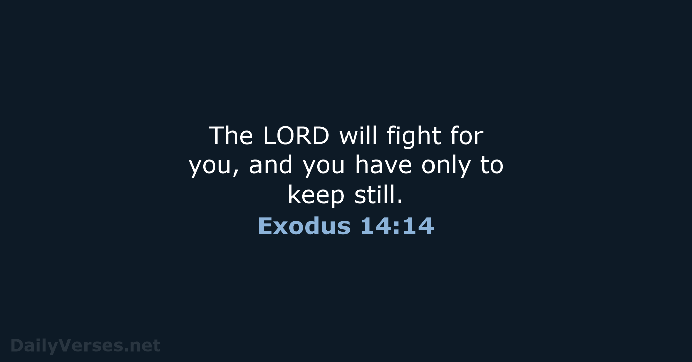 November 4 2022 Bible Verse Of The Day NRSV Exodus 14 14