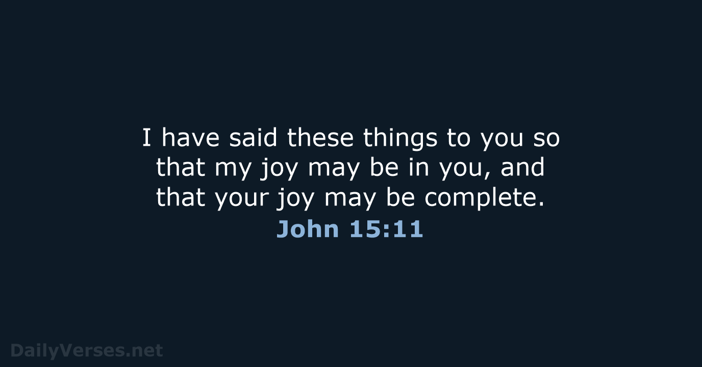 John 15 11 Bible Verse NRSV DailyVerses