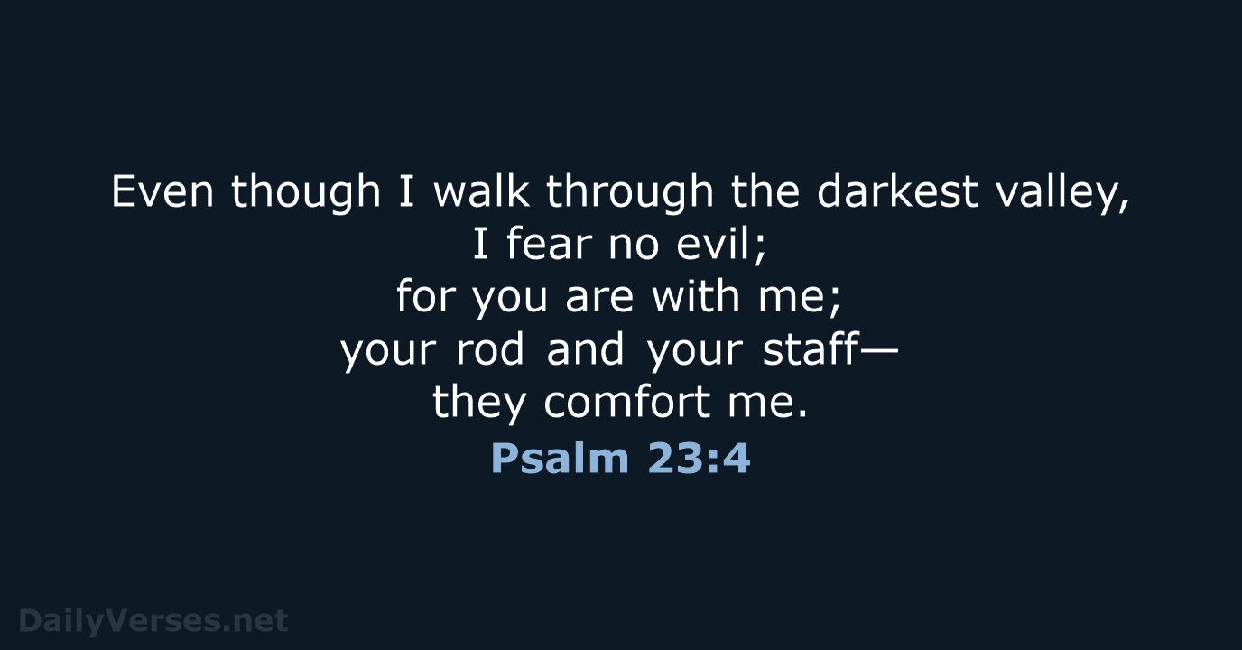 Psalm 23 4 Bible Verse NRSV DailyVerses