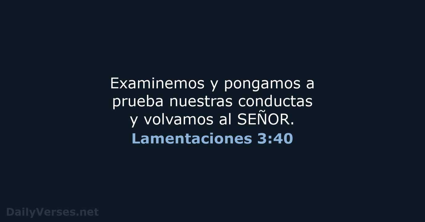Lamentaciones 3:40 - Versículo de la Biblia - DailyVerses.net